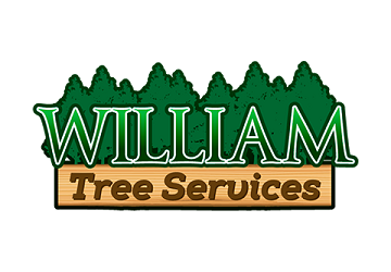 William Tree Service Reviews | TreeCutPro